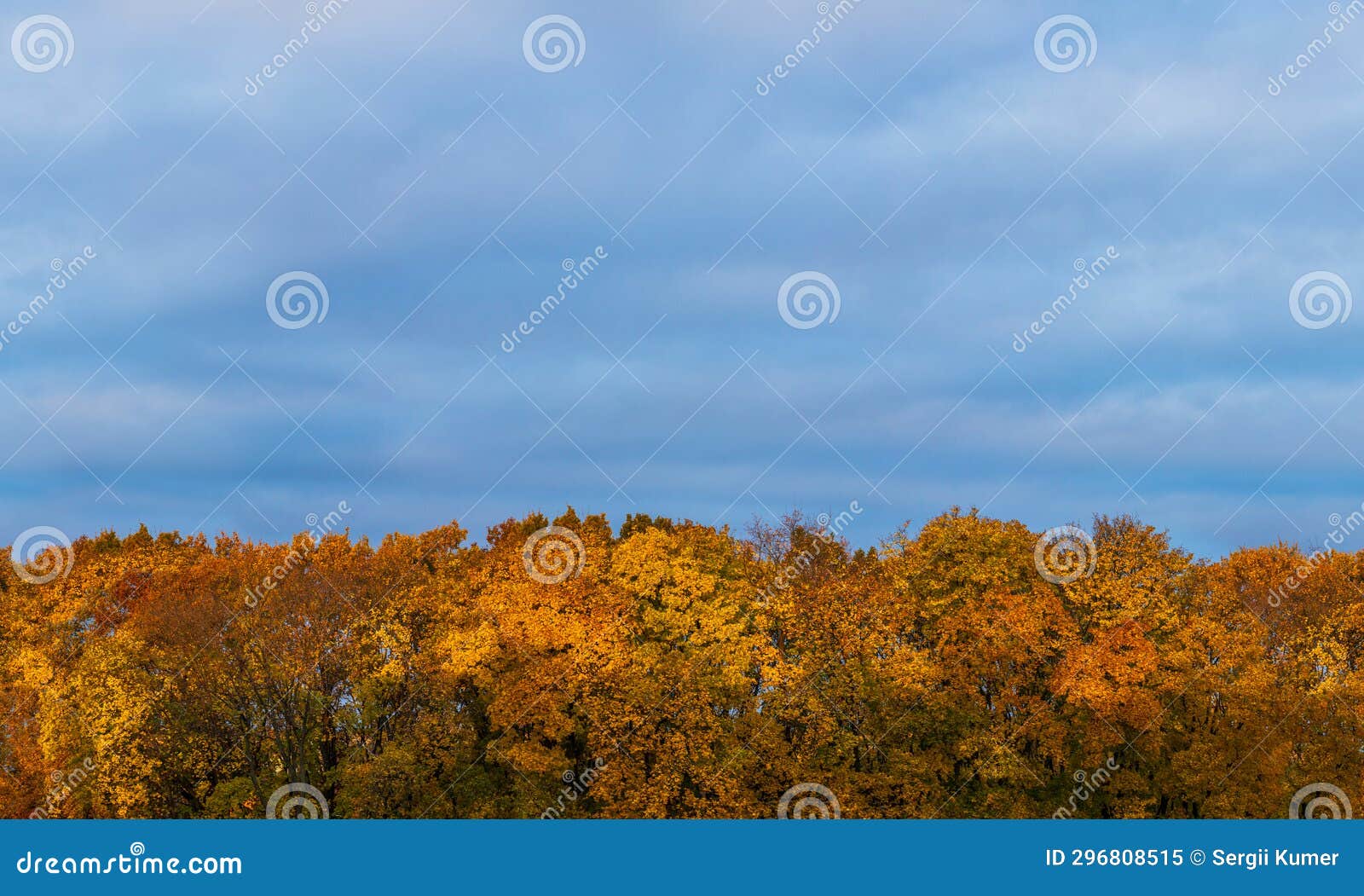 Horizontal Seamless Landscape Background with Orange Woods and Blue ...