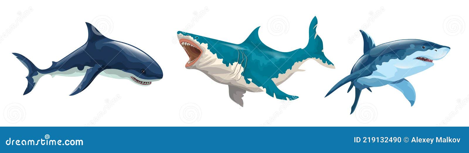 Horizontal Set of Different Sharks. Several Sharks in Motion and ...
