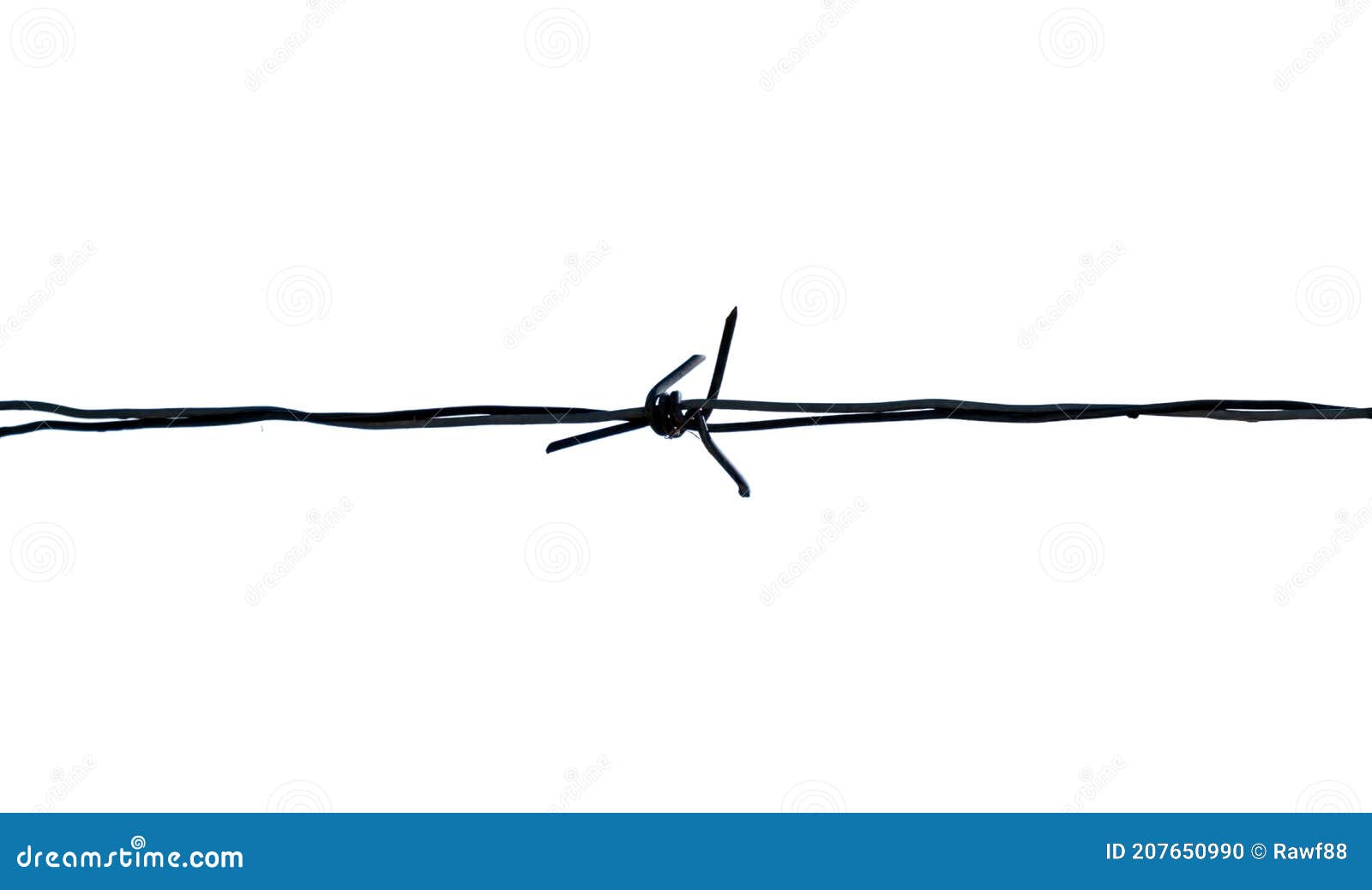 Horizontal Sharp Barb Wire Isolated on White Background. Closeup Stock ...