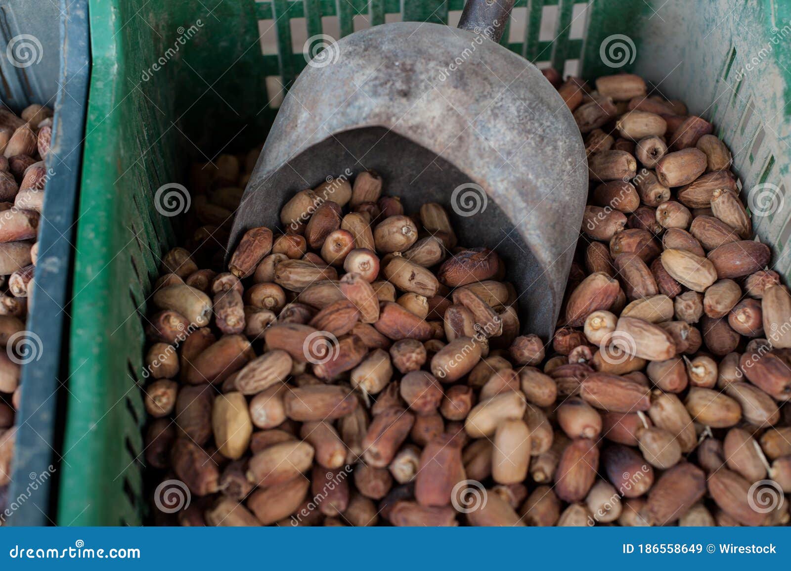 Horizontal Shot of a Basket Full of Nuts and a Metallic Scoop in it ...