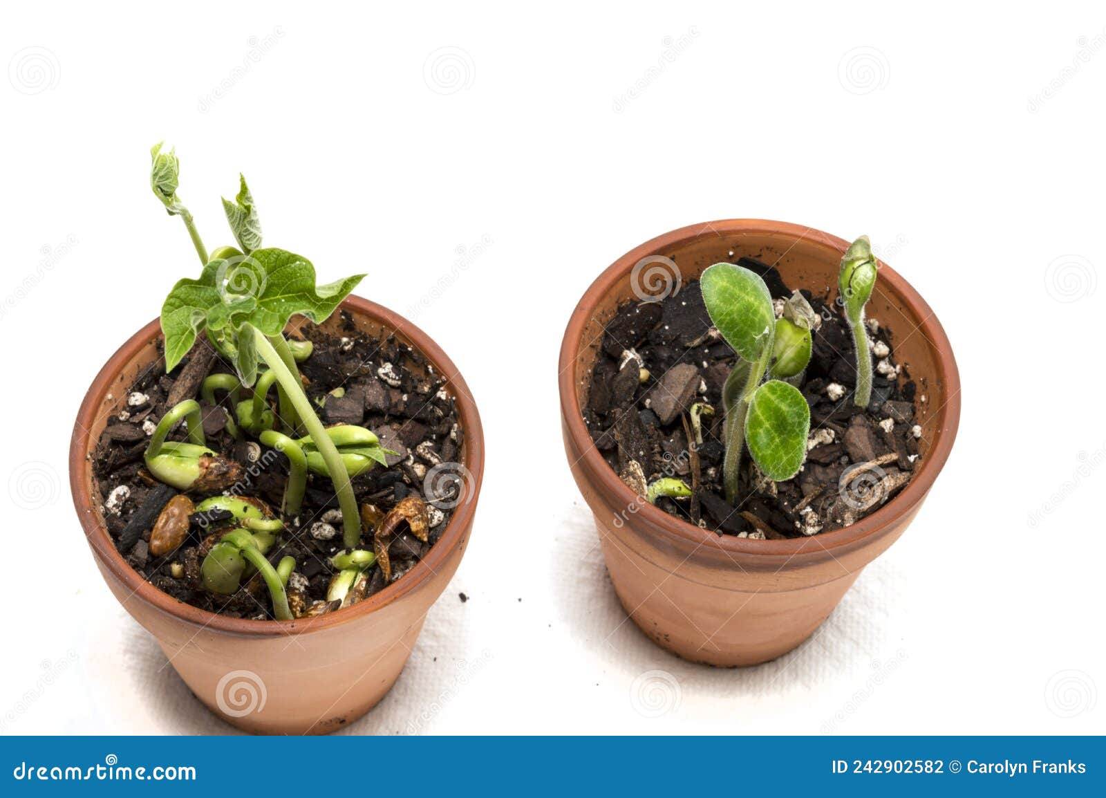 Horizontal Shot Of Amazed Blue Eyed Female With Shocked Excited ...