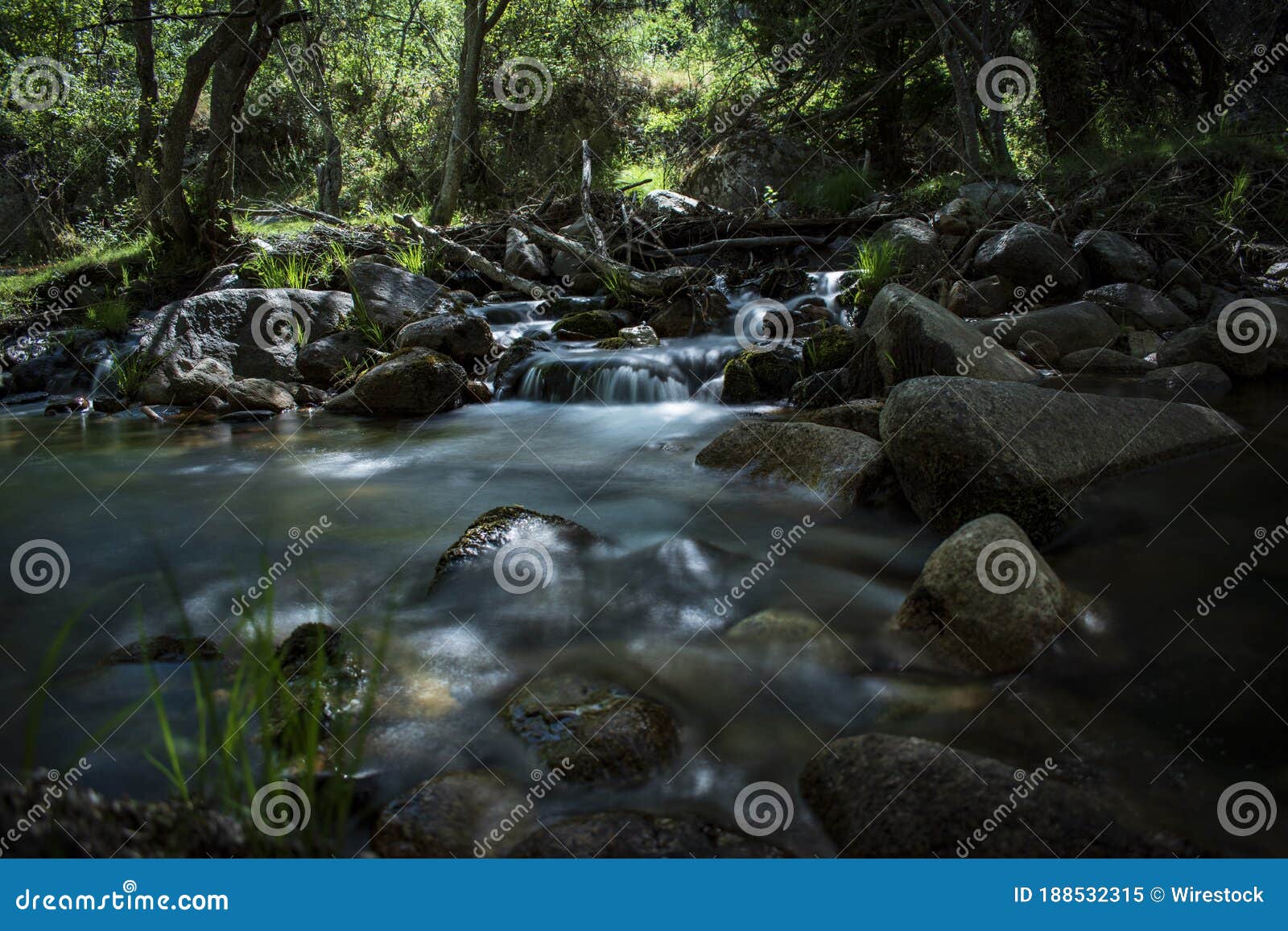 Horizontal Shot of a Mysterious River with Some Stones in a Green ...