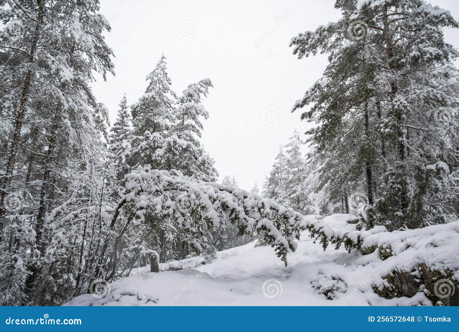 Horizontal Shot Snow Covered Hills Completely Covered in Snow Stock ...
