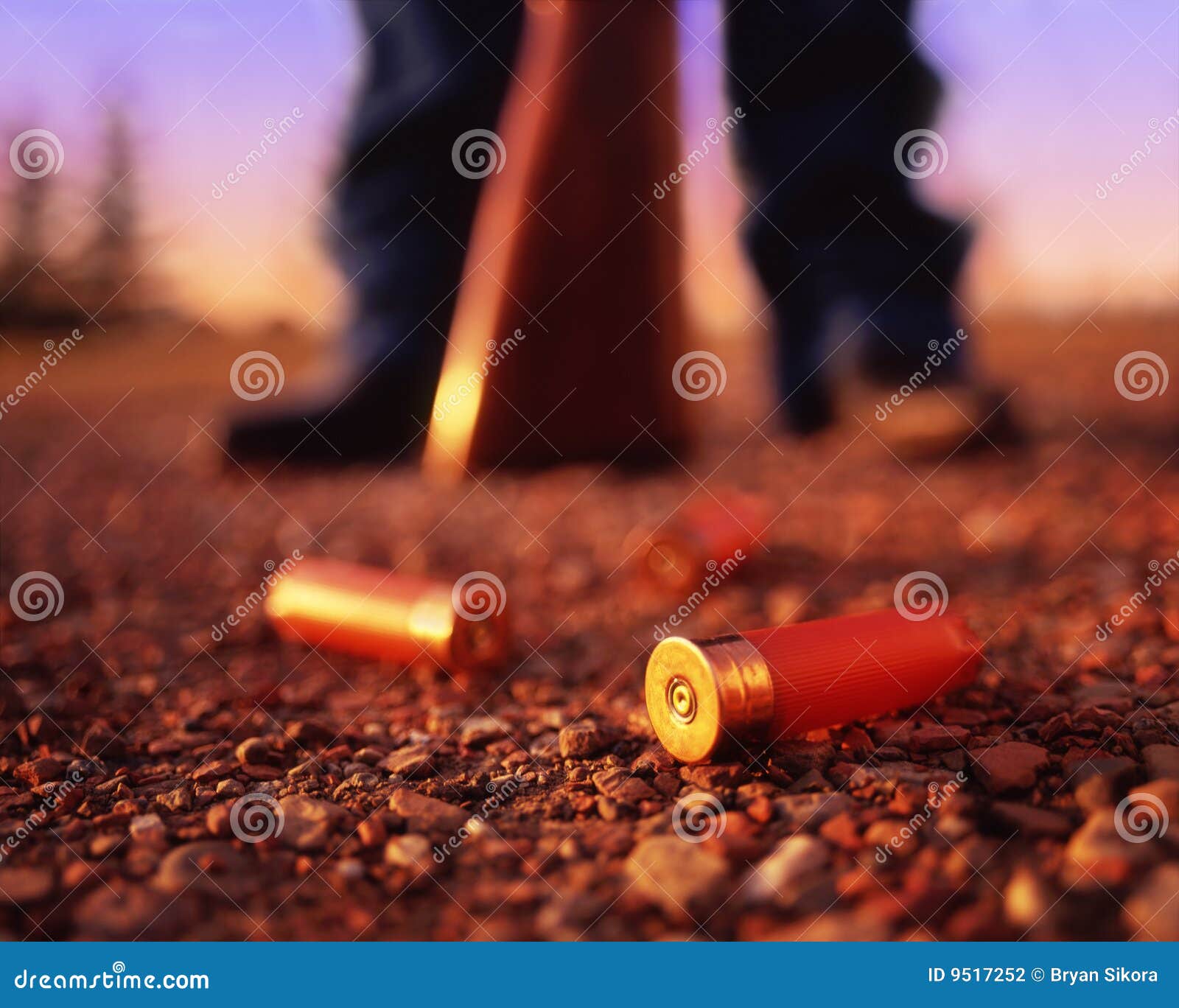 5 Shotgun Shells Royalty-Free Stock Photography | CartoonDealer.com ...