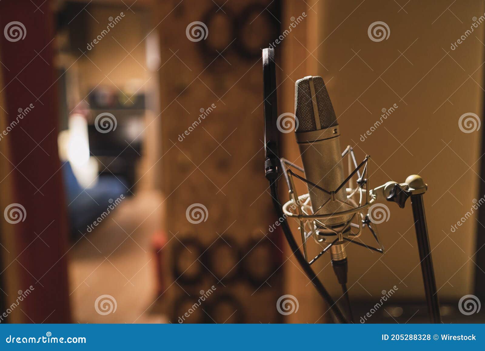 Horizontal Side Shot of a Professional Studio Microphone with a Pop ...