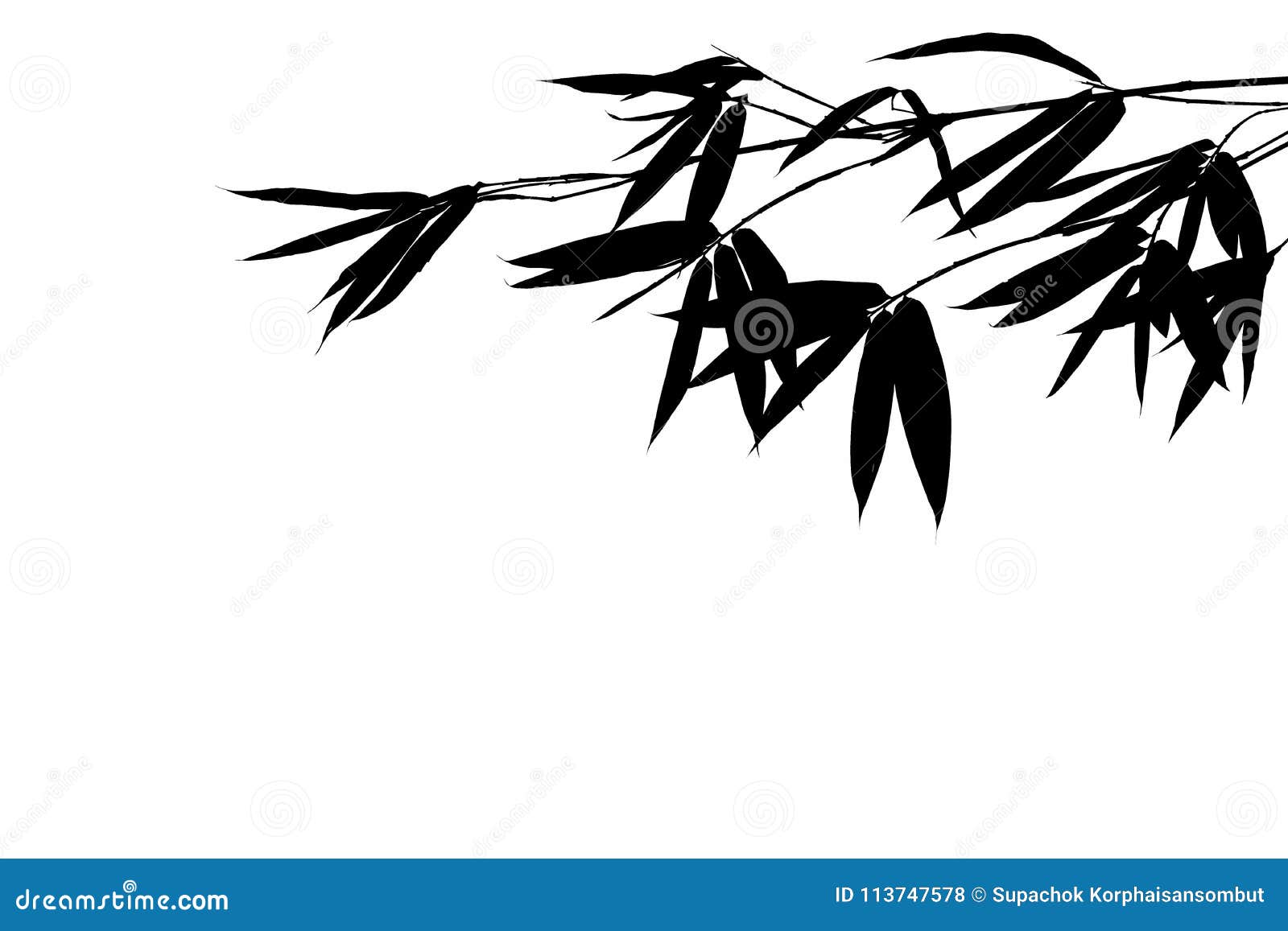 Horizontal Silhouette Bamboo Branch with Leaf Isolated on White ...