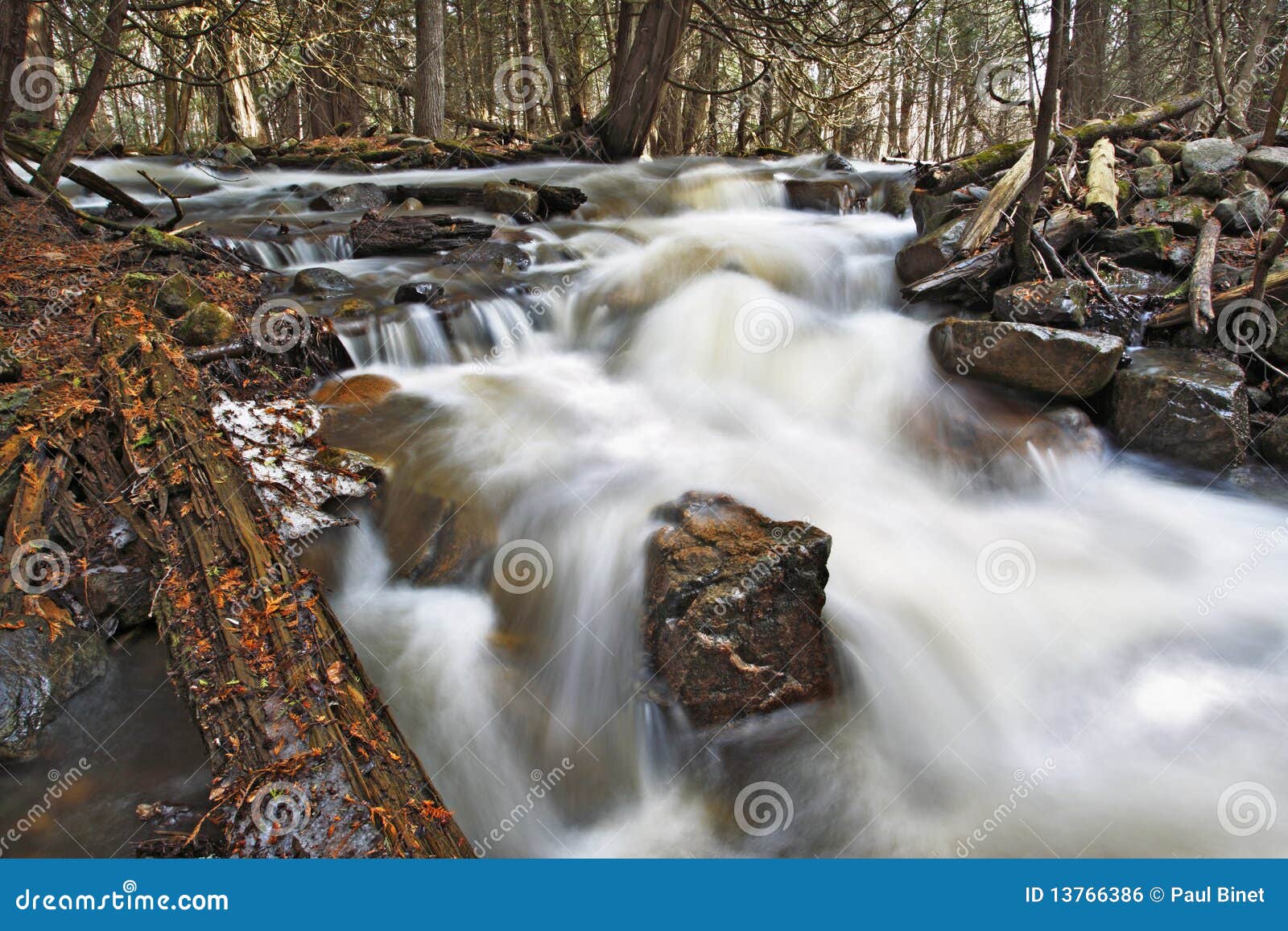 Horizontal spring stock photo. Image of beauty, landscape - 13766386