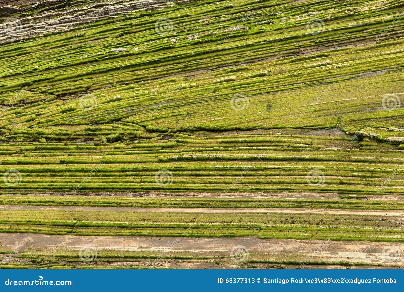 Horizontal Strata on the Coast of Zumaia Stock Image - Image of ...