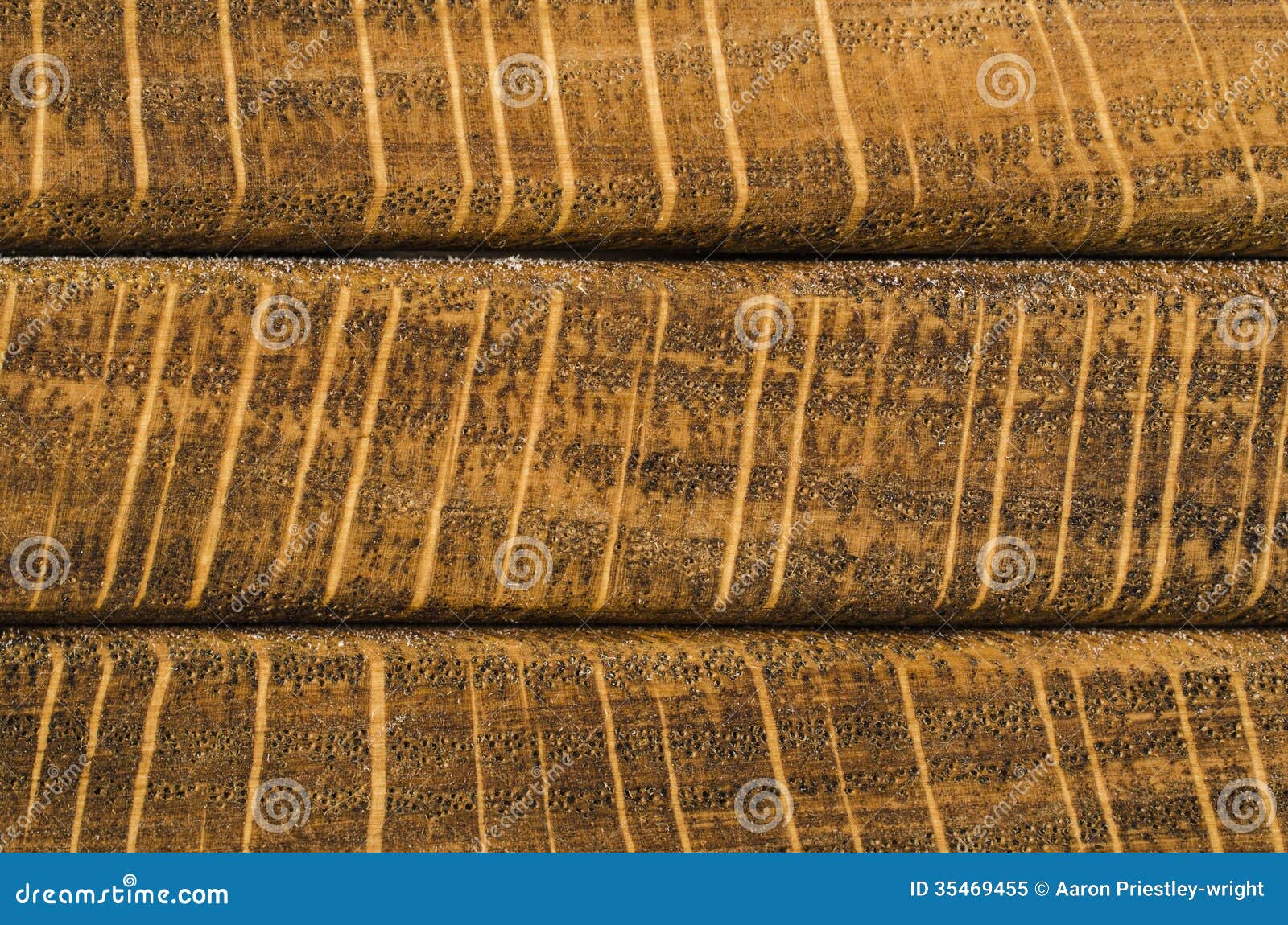 Horizontal Stripe Oak End Grain Texture Stock Image - Image of figured ...