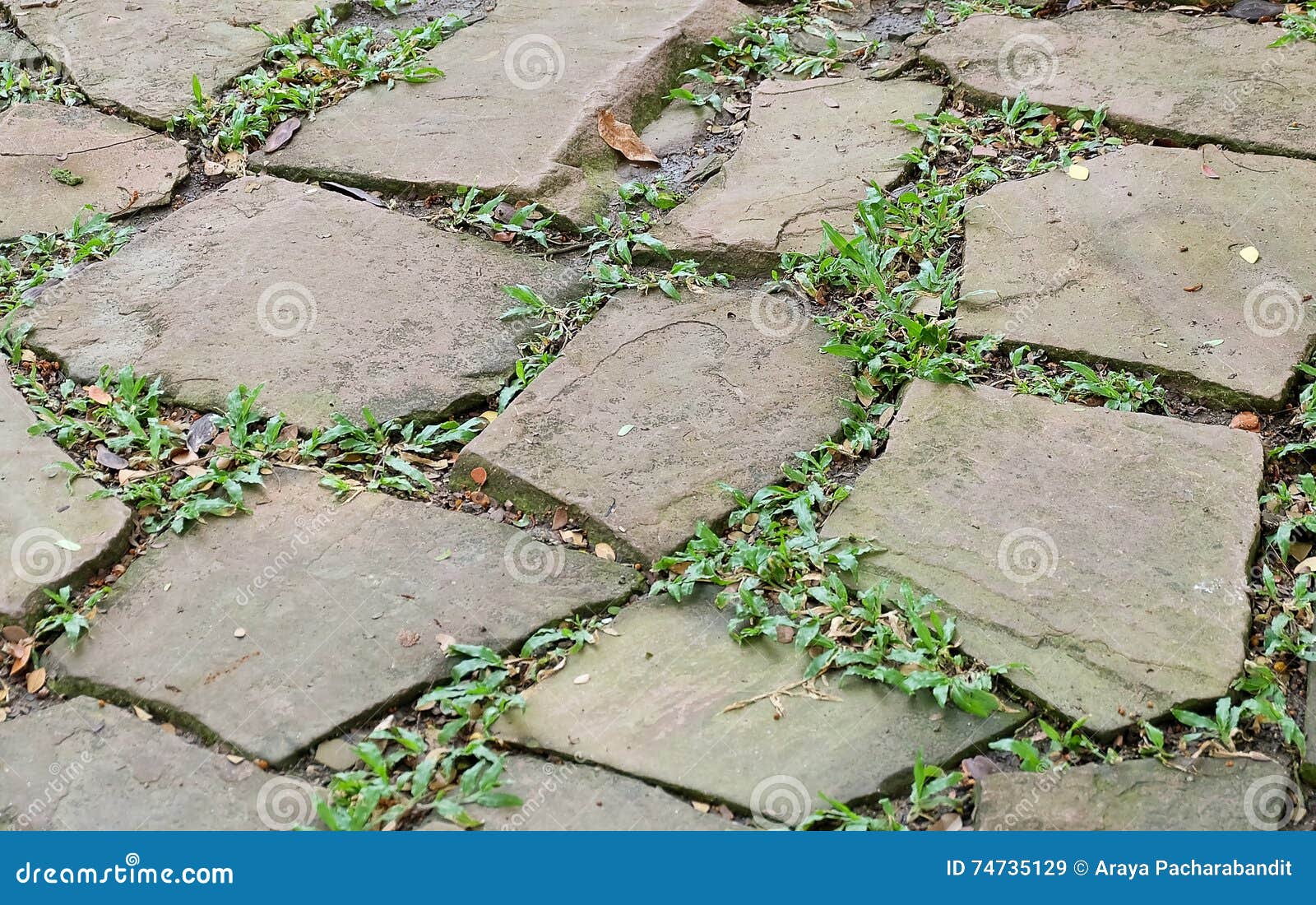 Horizontal Texture of the Asymmetrical Stone Pavement Stock Image ...