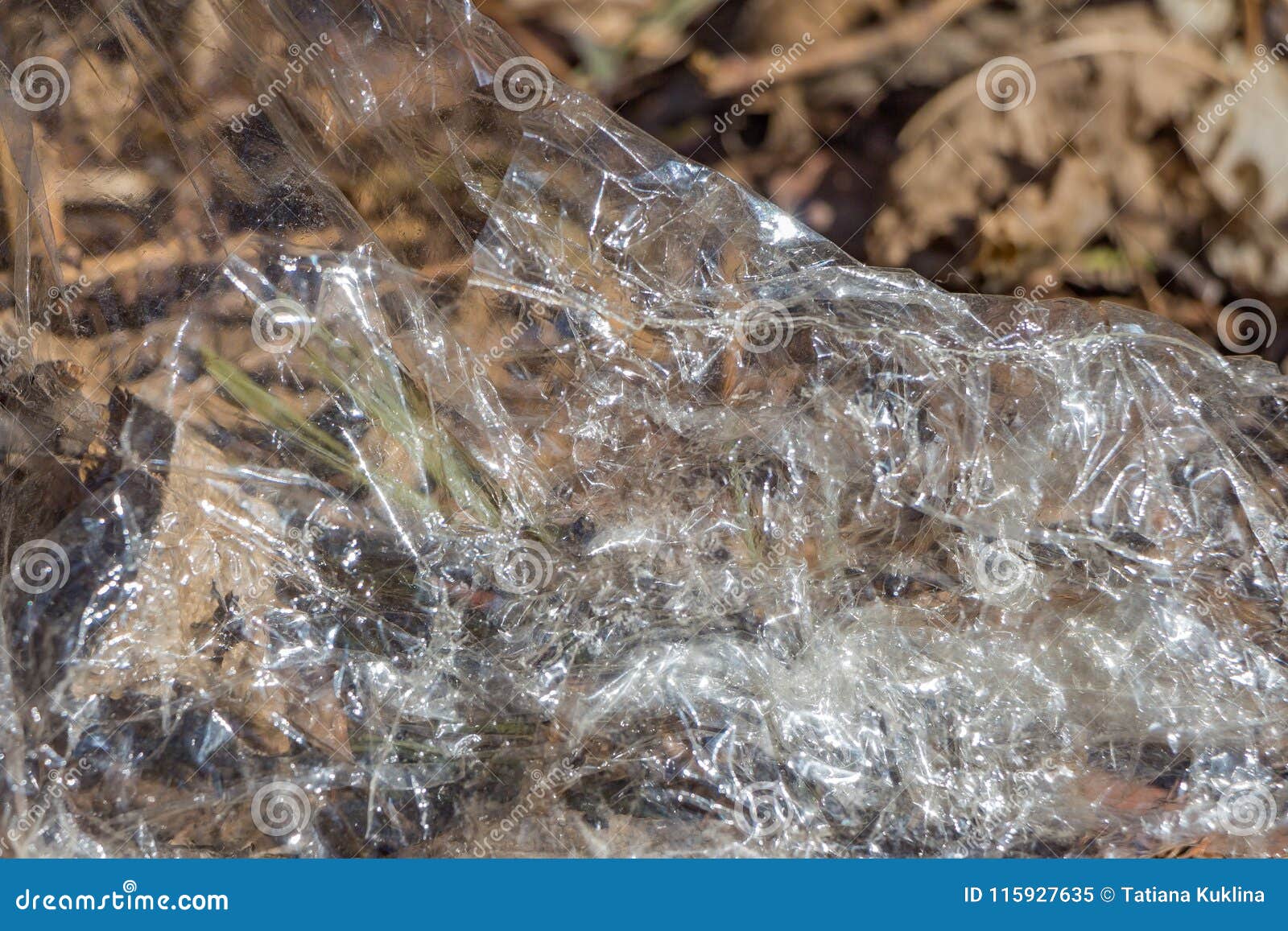 A Texture of a Piece of Crumpled Transparent Cellophane Stock Image ...