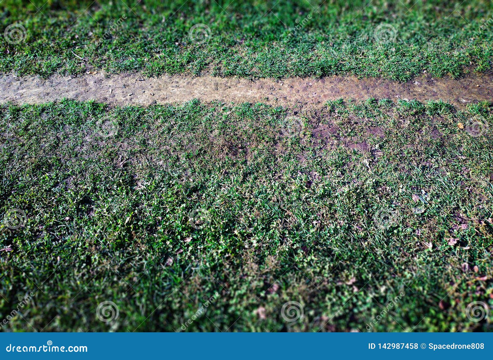 Horizontal Top Aligned Forest Path Background Stock Photo - Image of ...