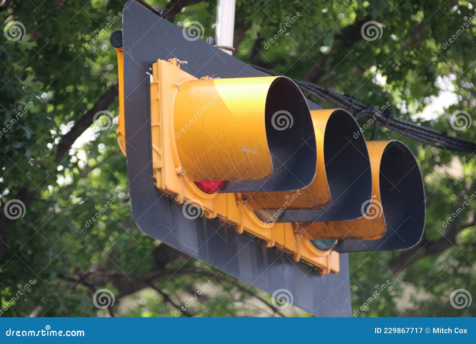 Traffic Signal stock image. Image of horizontal, plant - 229867717