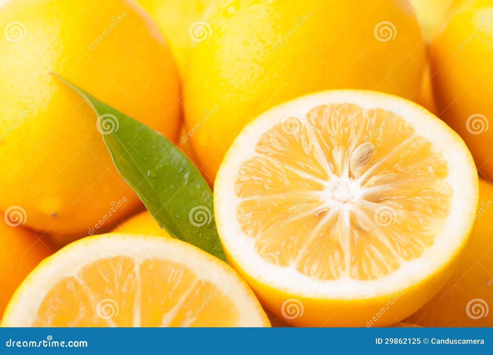 Meyer Lemon Closeup Horizontal Stock Image - Image of medicine ...