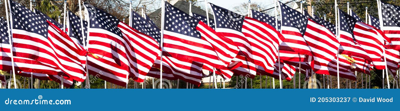 Horizontal View of American Flags Stock Image - Image of national ...