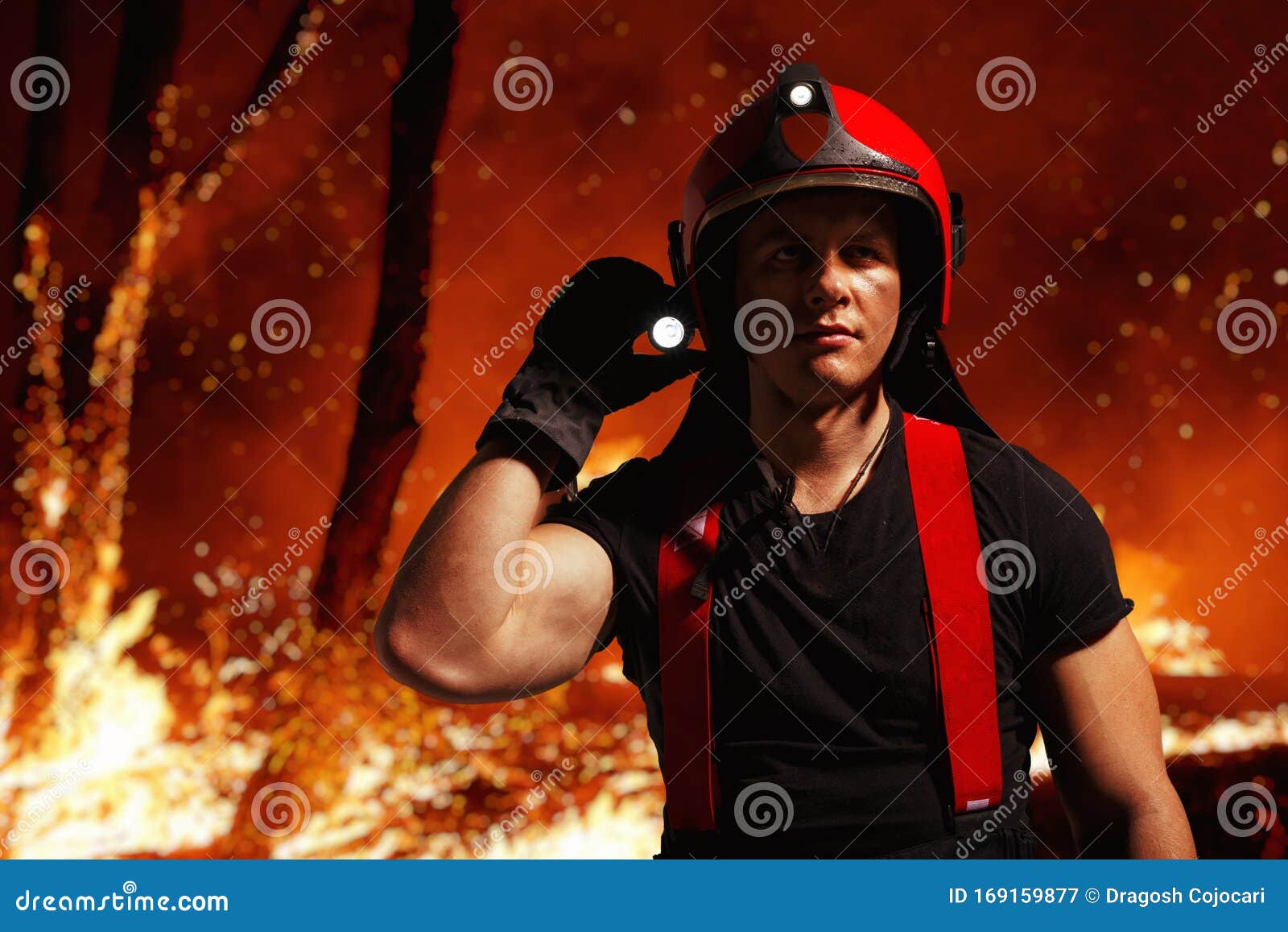 A Brave Fireman in Helmet, Holding a Flashlight during the Forest Fire ...