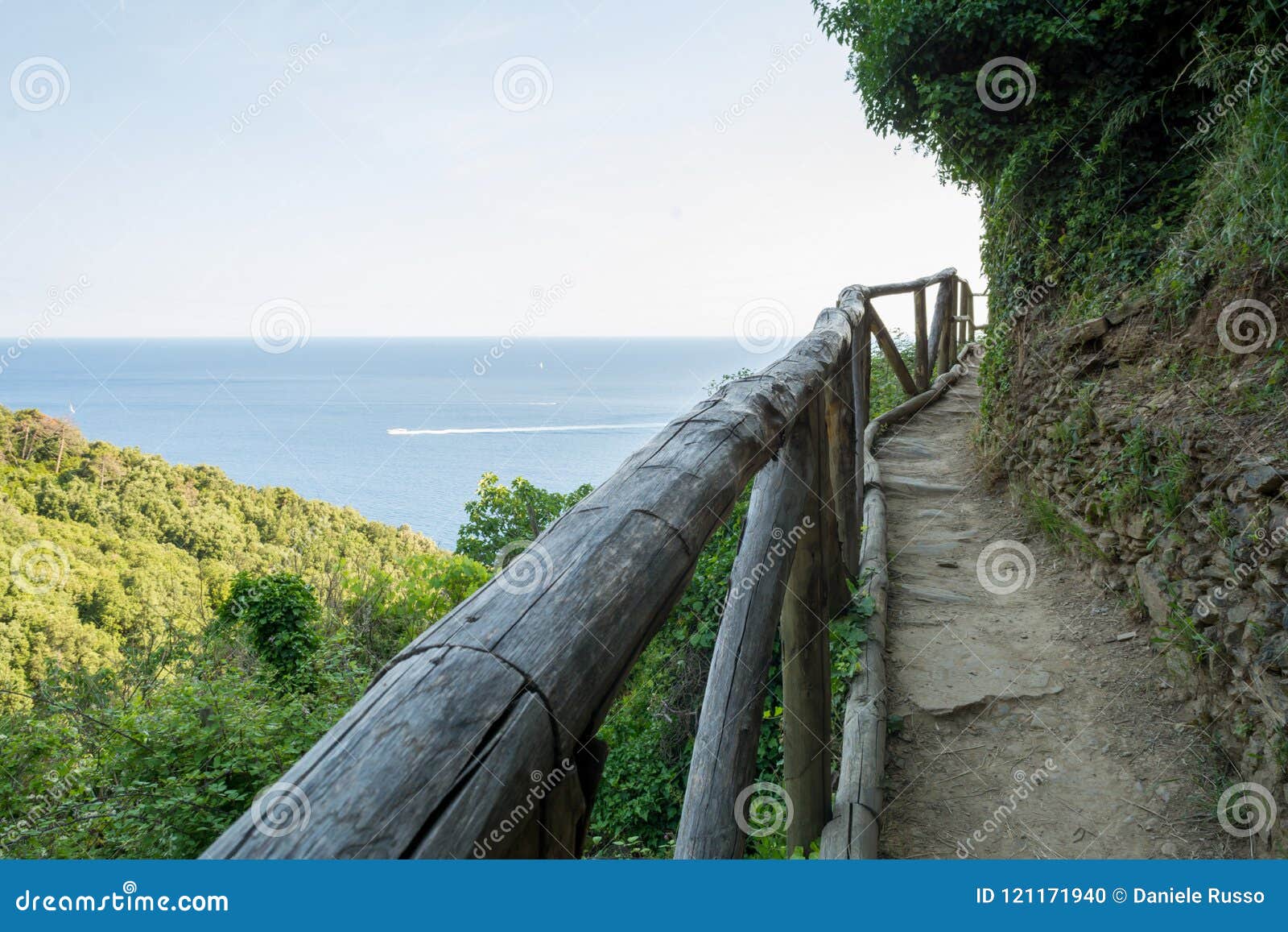 Horizontal View of the Path in the Forest in the Mountains F Stock ...