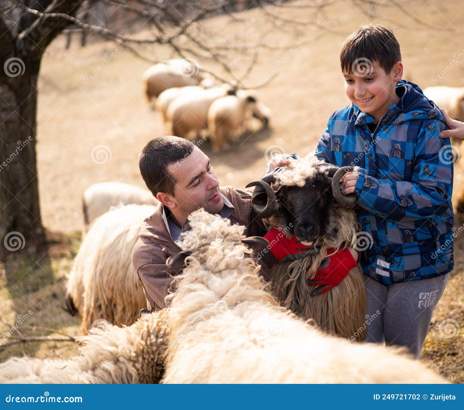 Shepherd Holding a Lamb with a Flock of Sheep Standing in the ...