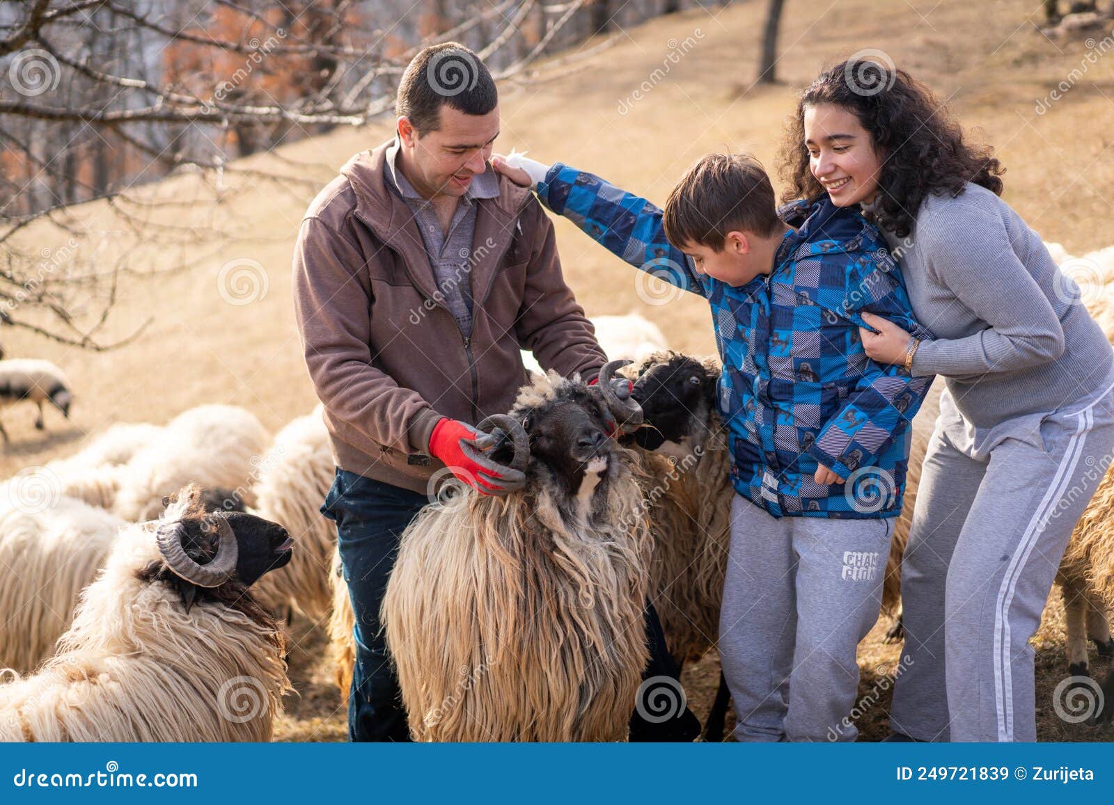 Shepherd Holding a Lamb with a Flock of Sheep Standing in the ...
