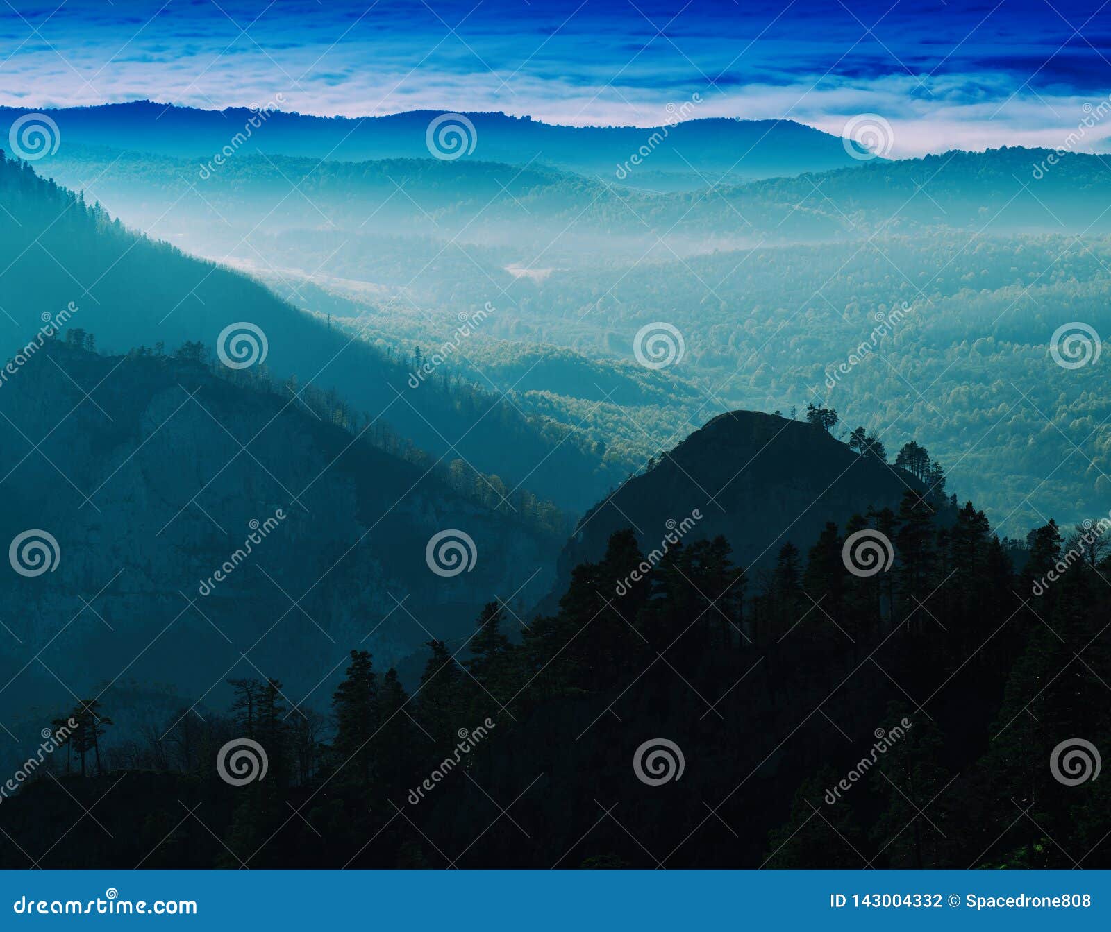 Horizontal Vivid Mountain Forest Landscape Background Backdrop Stock ...