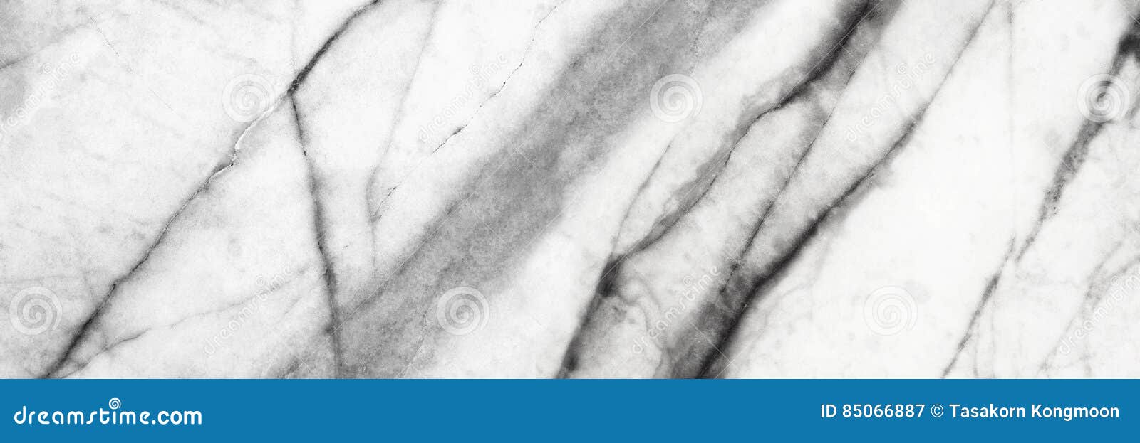 Horizontal White Background Of Calacatta White And Black Marble Stone ...