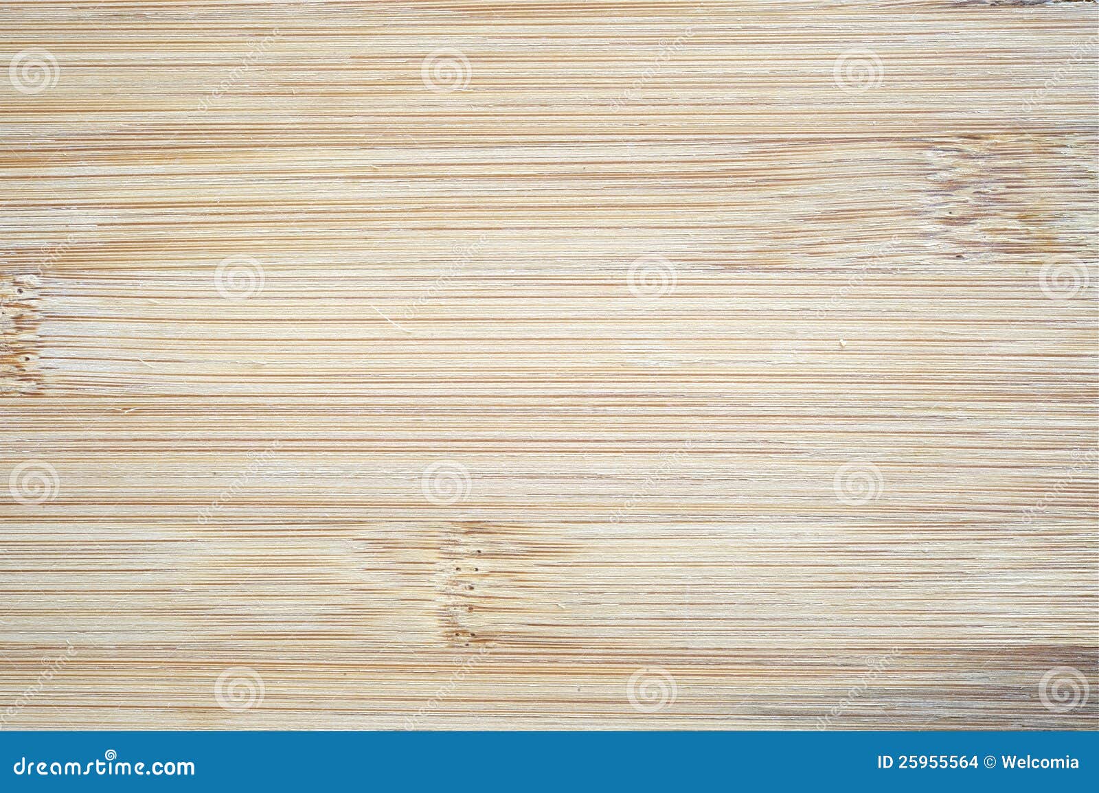 Horizontal Wood Texture stock photo. Image of panel, horizontal - 25955564