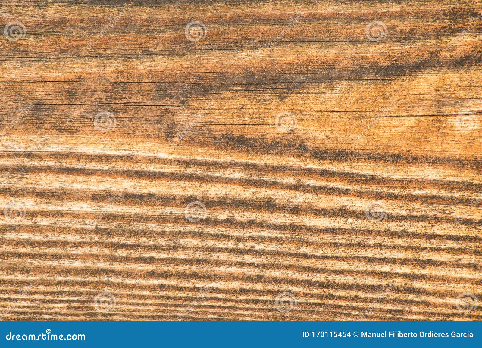Horizontal wood texture stock photo. Image of grunge - 170115454