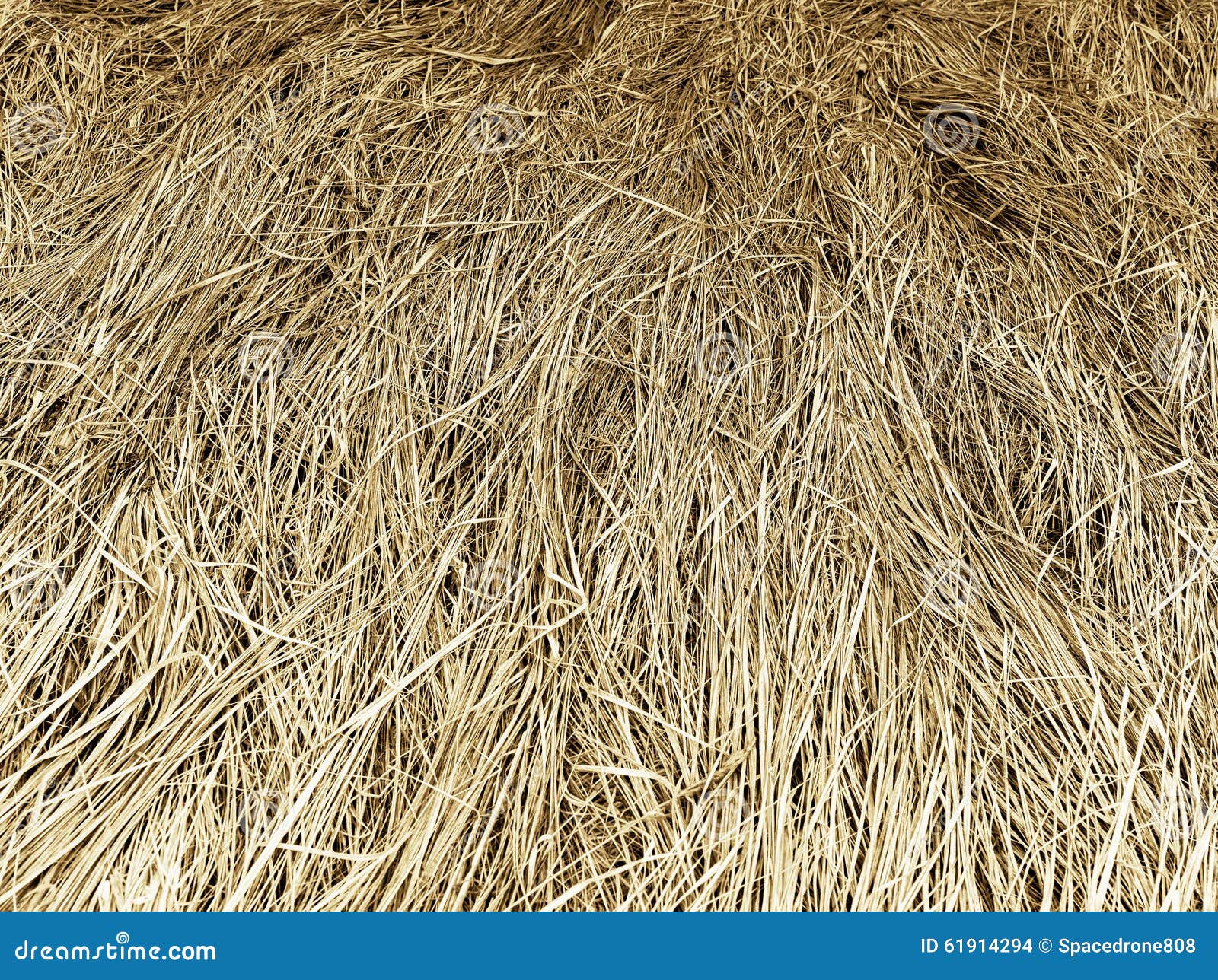 Horizontal Yellow Hay Texture Background Stock Photo - Image of scene ...