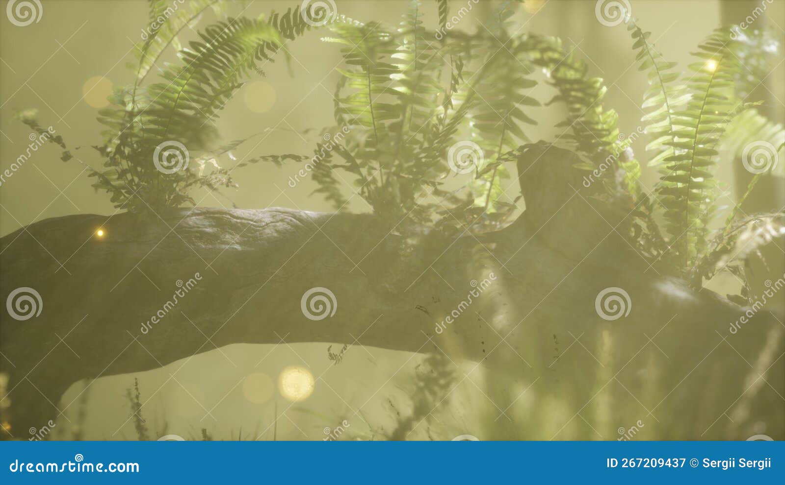 Horizontally Bending Tree Trunk with Ferns Growing, and Sunlight ...