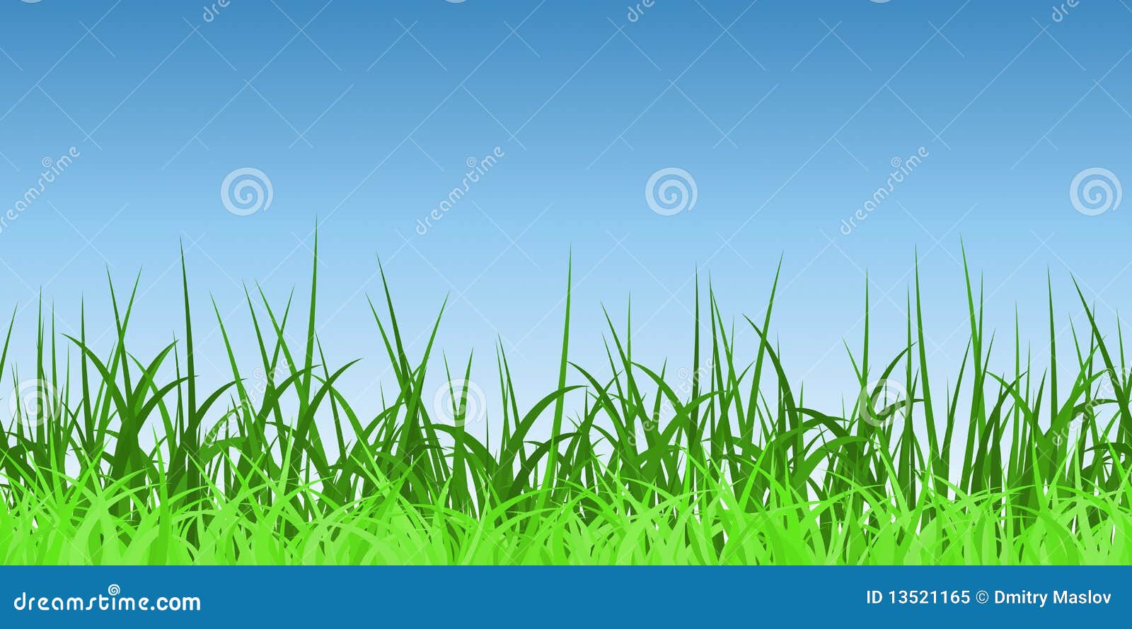 Grass Banner. Cereal Sprouts. Springtime Growth Greenery. Green Turf ...