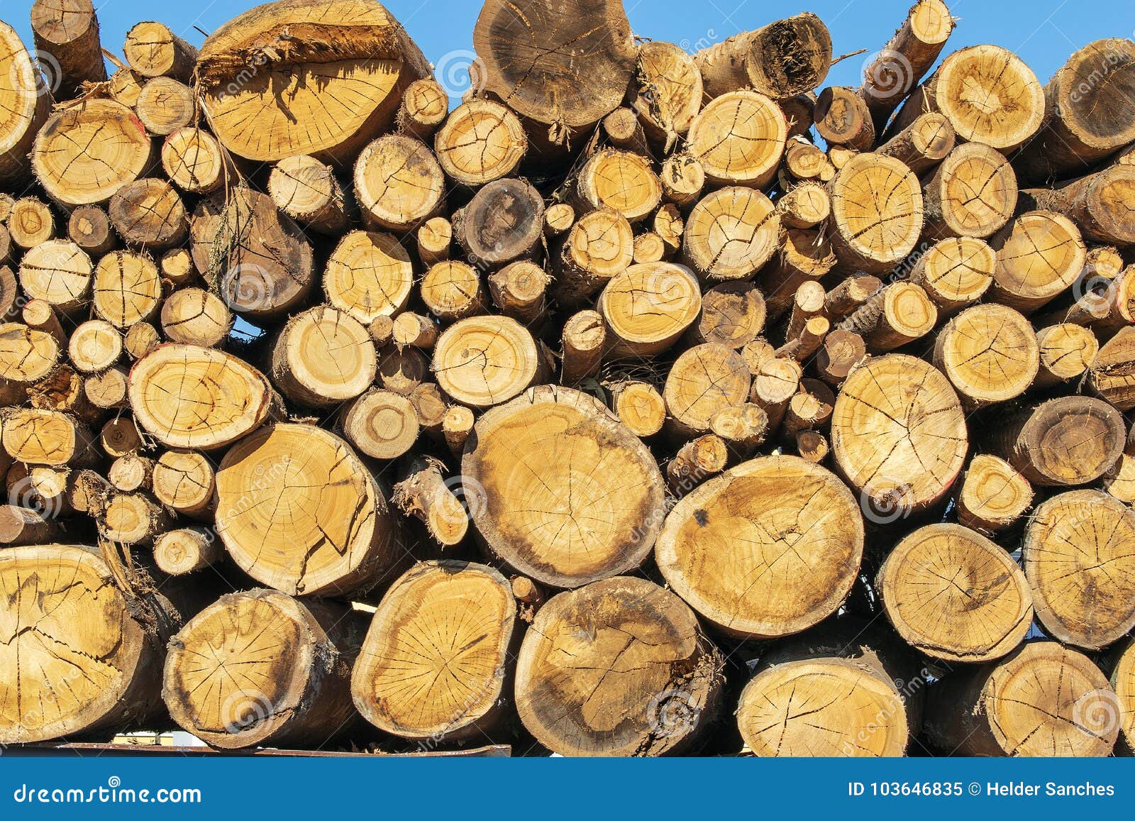 Horizontally stored logs stock image. Image of logs - 103646835
