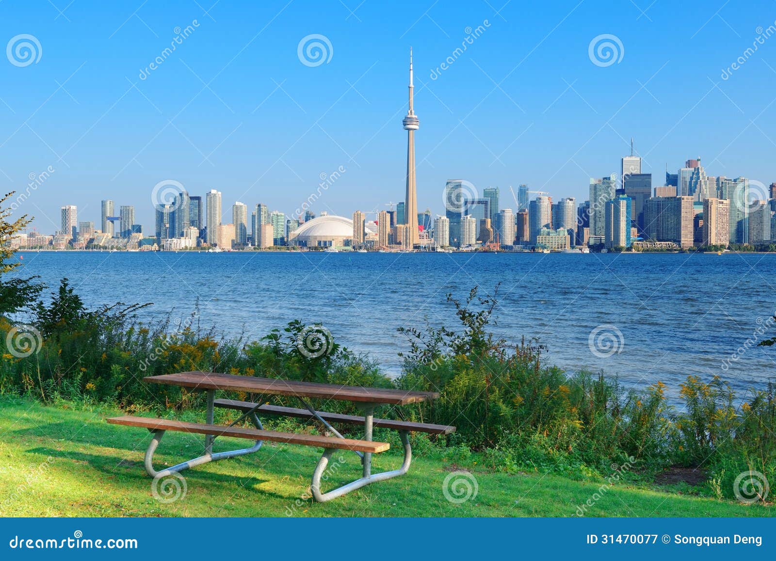 Horizonte De Toronto Del Parque Imagen de archivo - Imagen de colorido ...