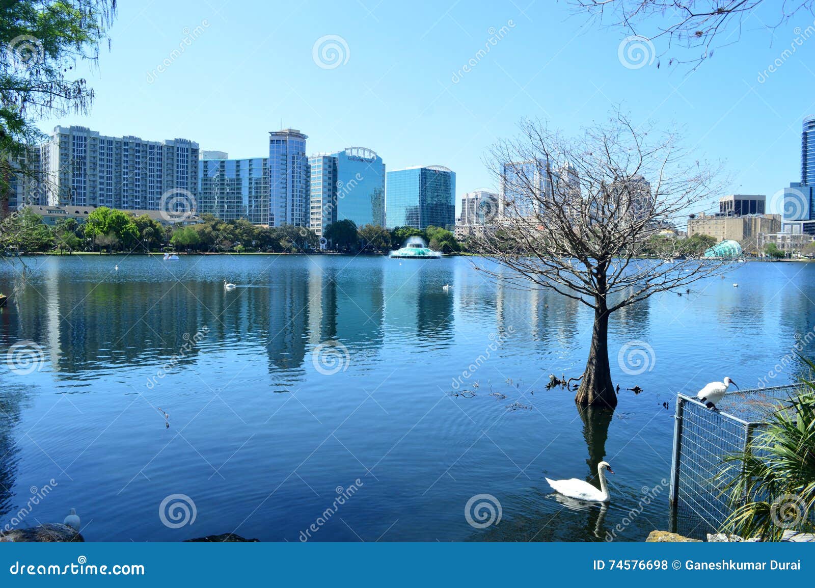 Horizonte Orlando Del Parque De Eola Del Lago Foto De Archivo Editorial