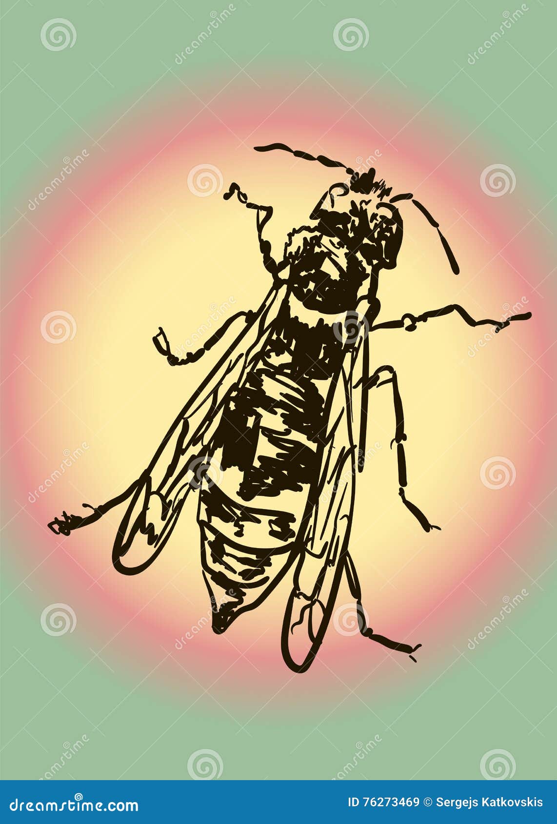 Hormet stock illustration. Illustration of hornet, natural - 76273469