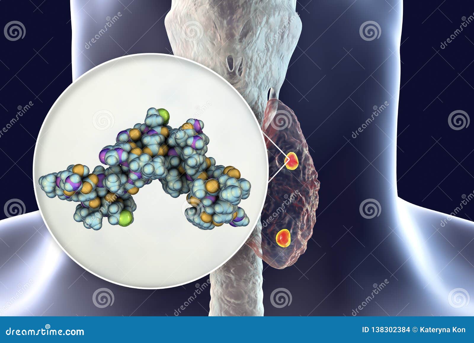 Hormona Humana Da Paratireoide Ilustração Stock - Ilustração de ...