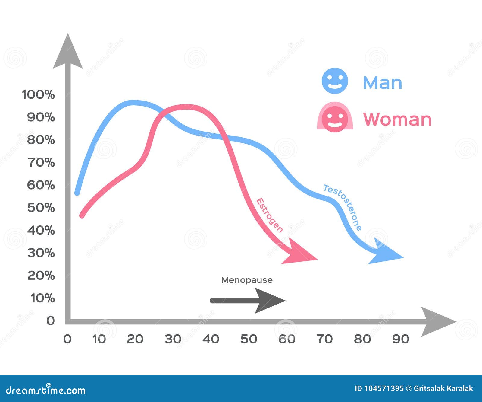Hormone and Age Infographic Vector Stock Vector - Illustration of girl ...