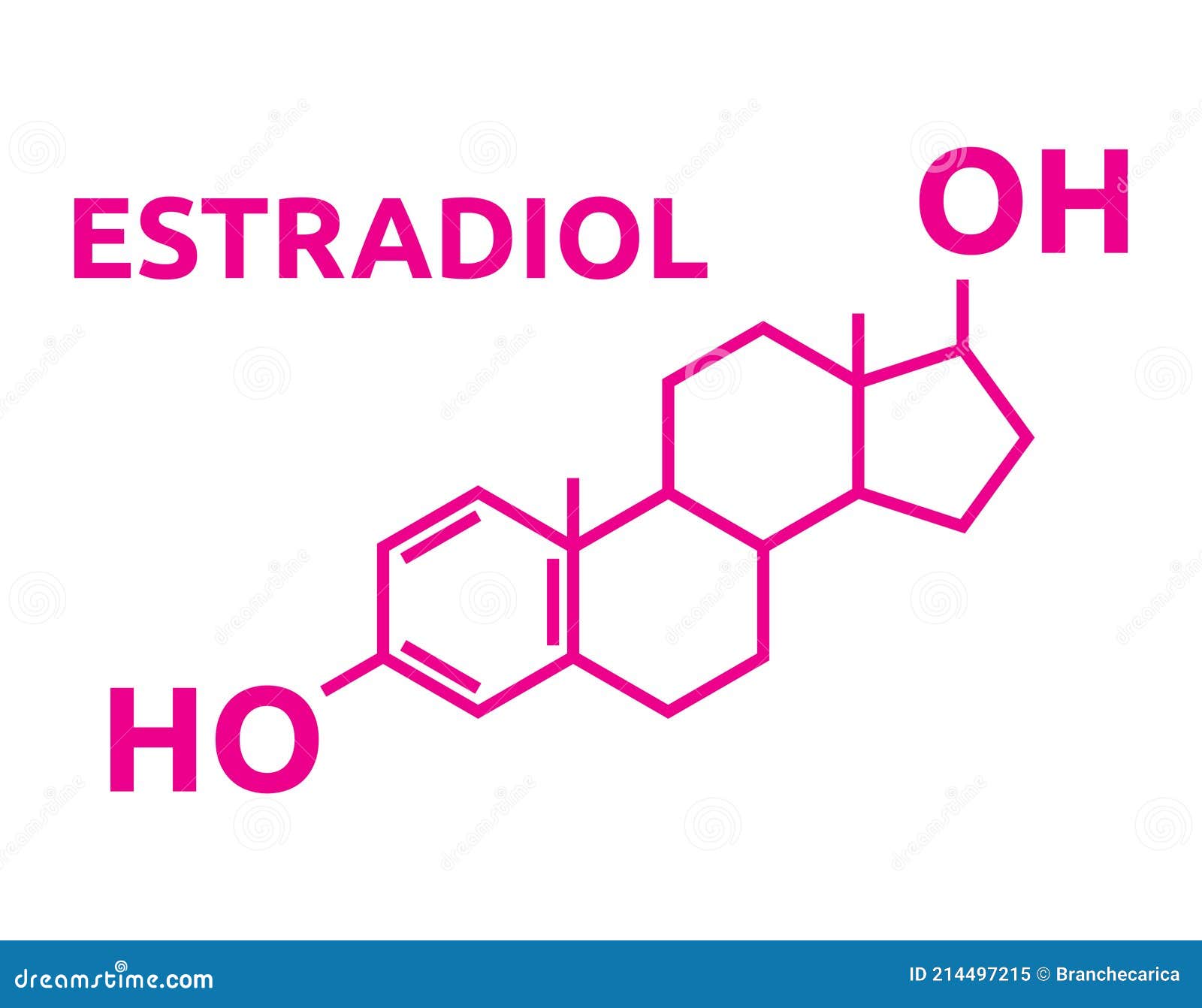 Sex Hormones Laboratory Symbol Hormone Estrogen Testosterone Chemical