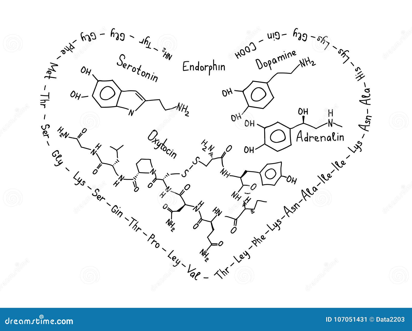 Chemical Formula For Love