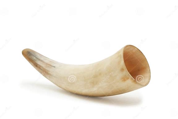 Horn stock image. Image of horned, vent, animal, cattle - 17378299