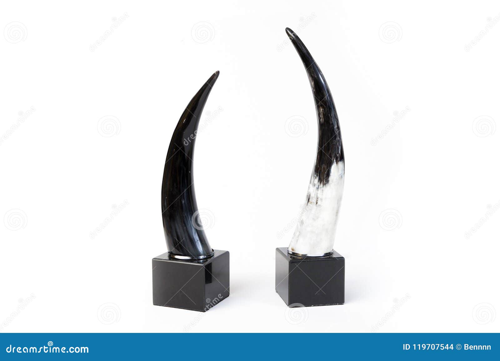 Horn for decoration stock photo. Image of hunt, horn - 119707544
