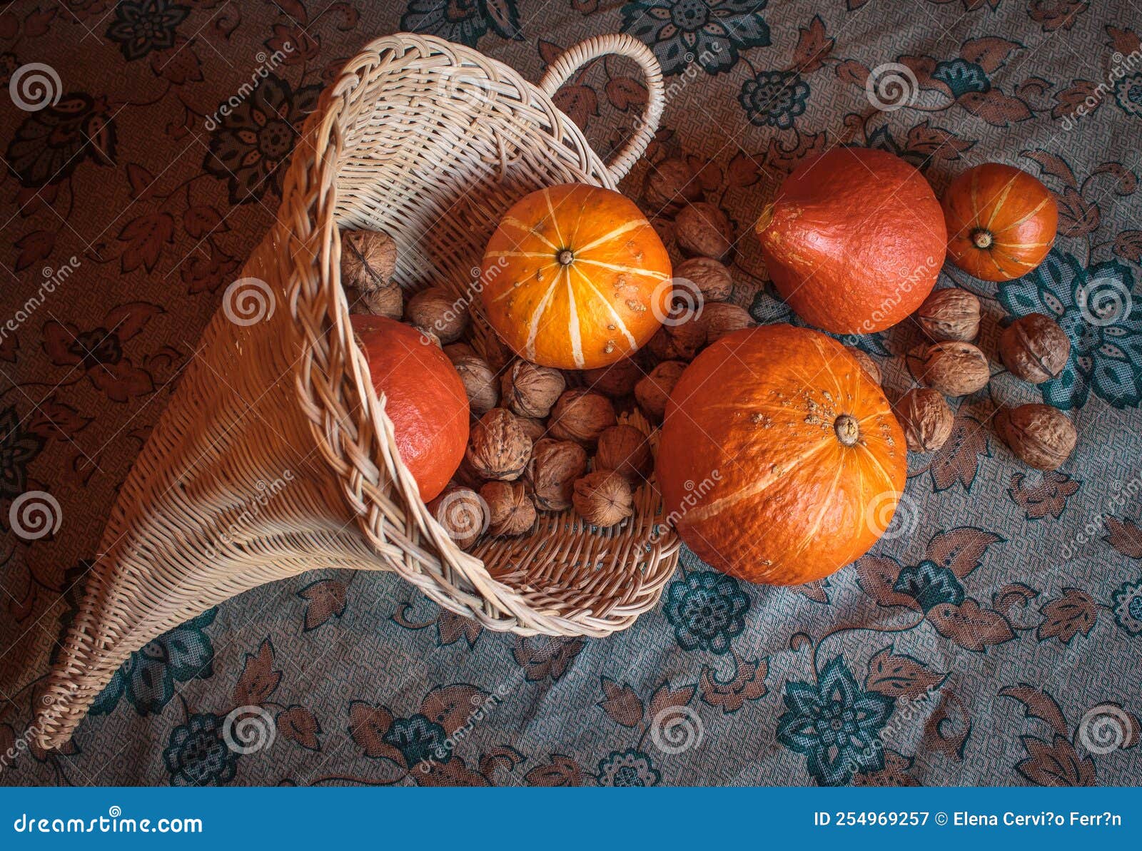 Horn of Plenty or Cornucopia with Fruits from the Garden. Stock Image ...