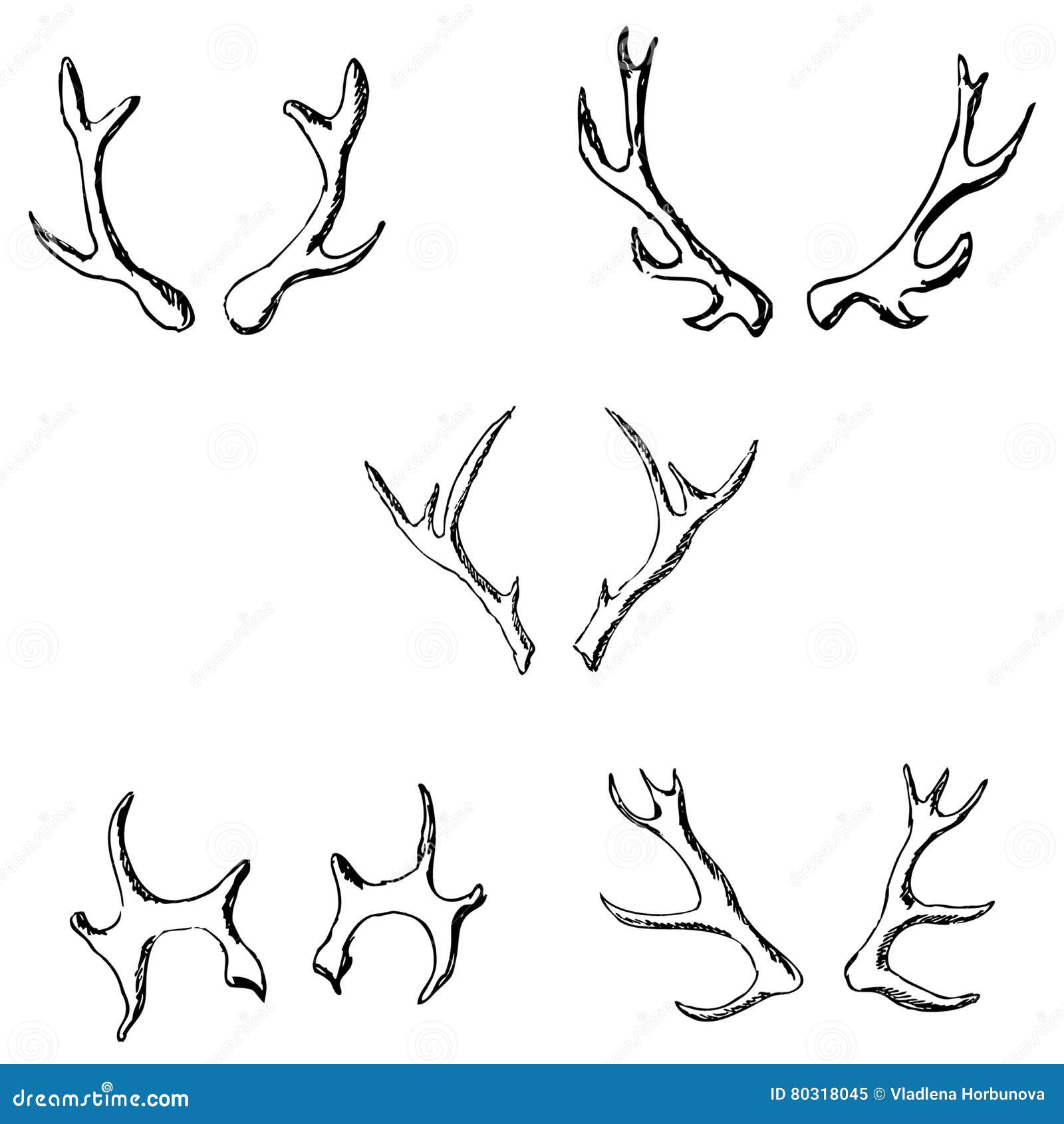 Horn Sketch Of A Deer. Pencil Drawing By Hand. Vintage Colors. Vector ...