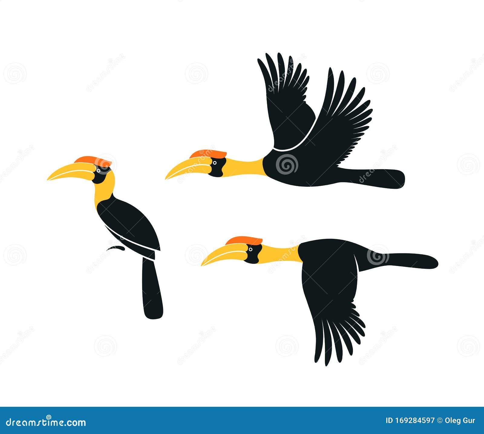 Hornbill Logo Vector Template. Exclusive Enggang Bird Solid Colors Logo ...