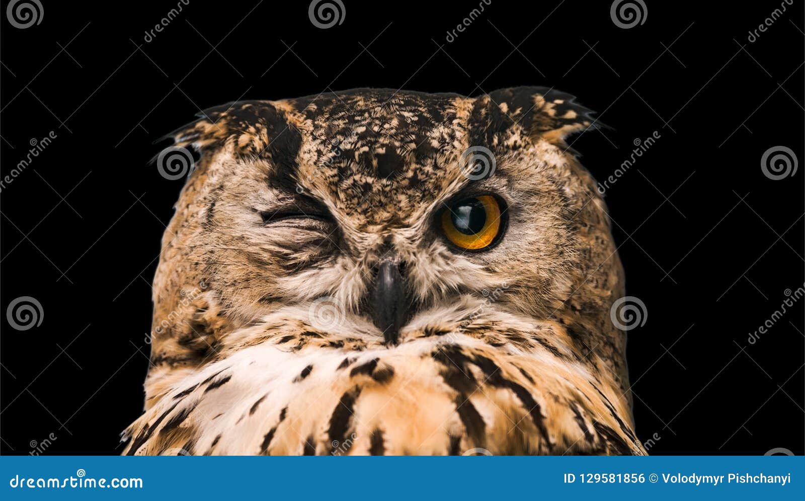 17,303 Horned One Stock Photos - Free & Royalty-Free Stock Photos from ...