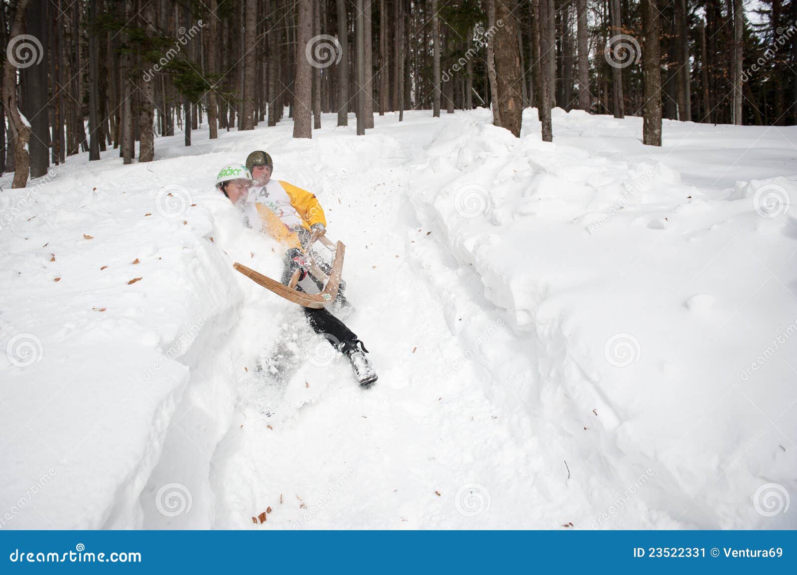Horned Sledge Race 2012 in Turecka, Slovakia Editorial Photo - Image of ...