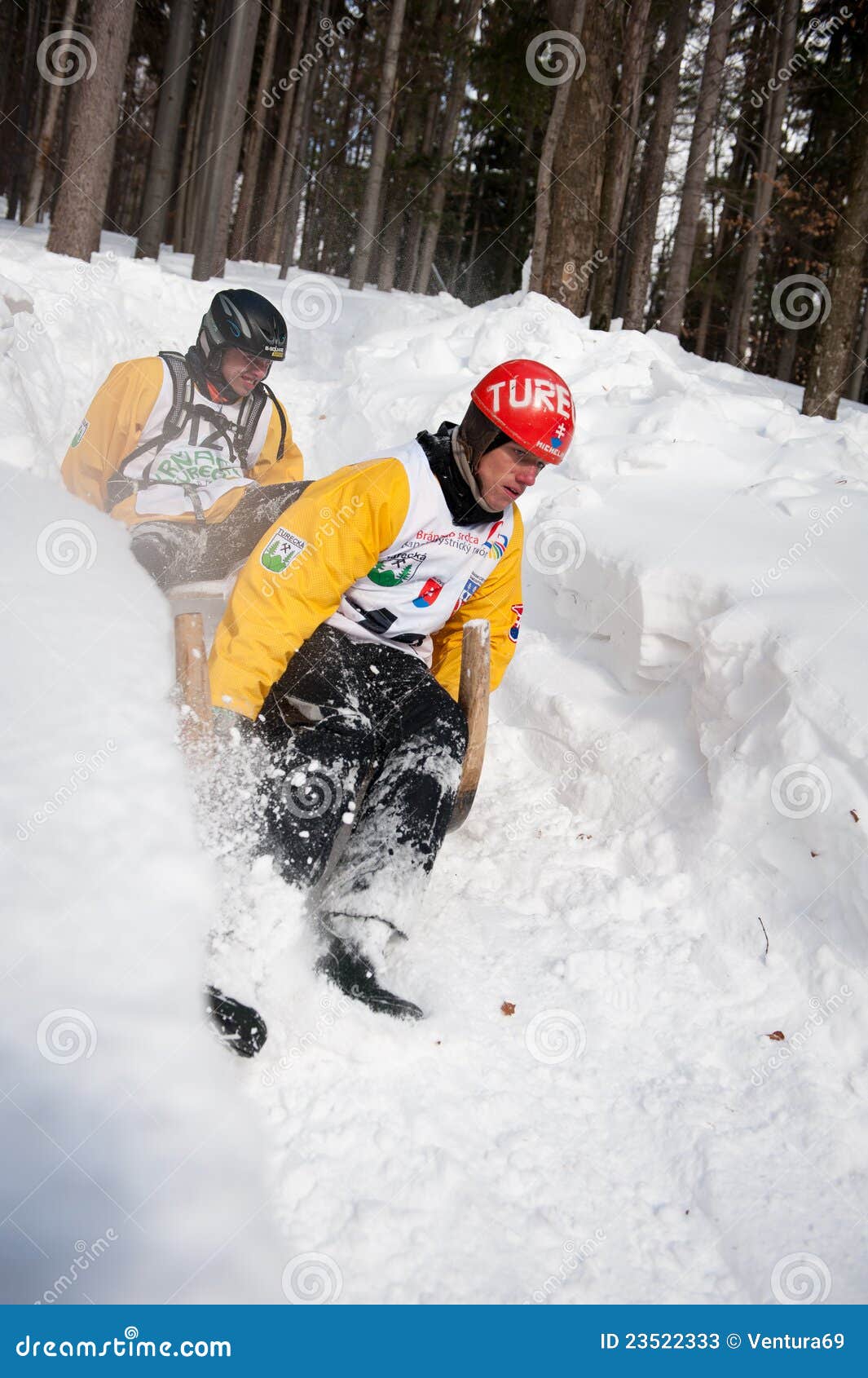 Horned Sledge Race 2012 in Turecka, Slovakia Editorial Stock Photo ...