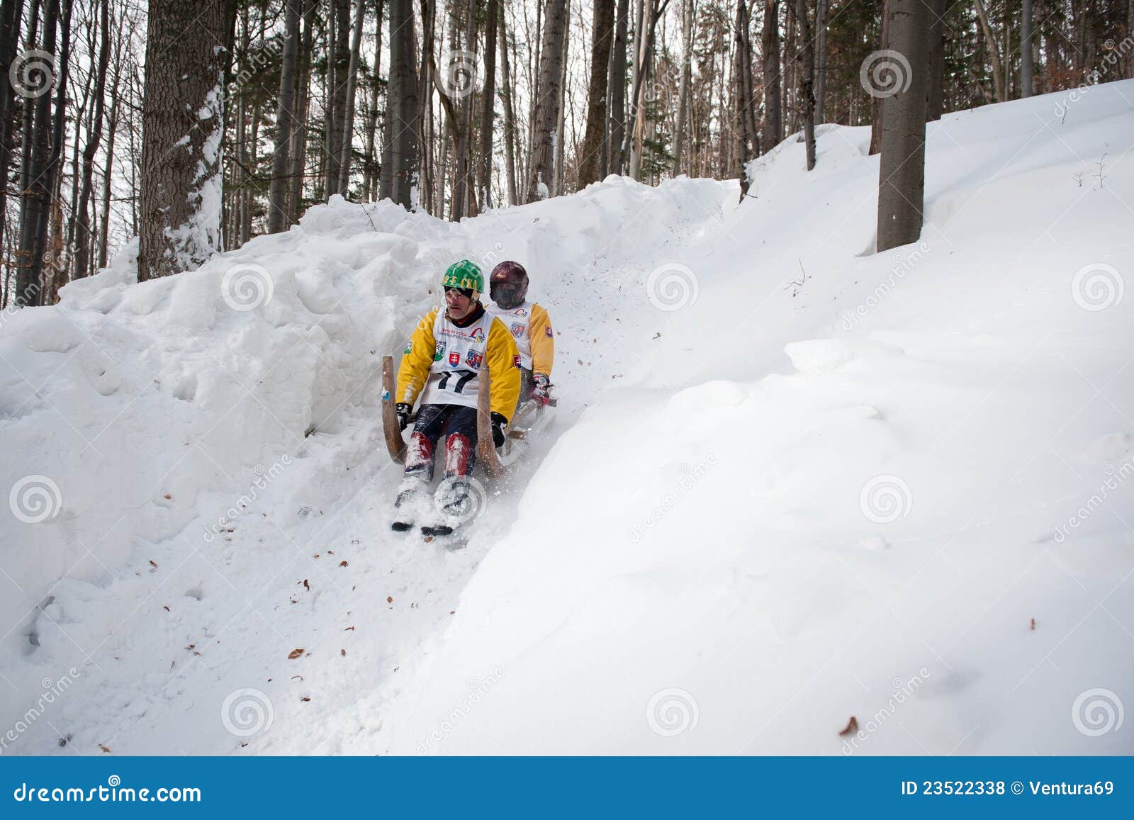 Horned Sledge Race 2012 in Turecka, Slovakia Editorial Stock Photo ...