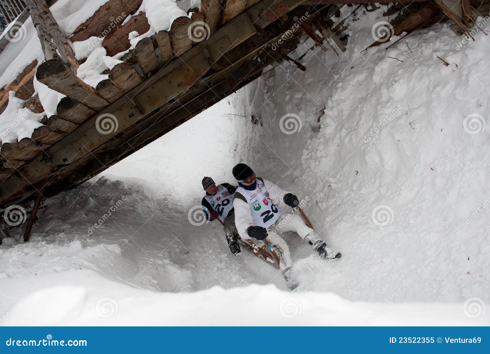 Horned Sledge Race 2012 in Turecka, Slovakia Editorial Image - Image of ...