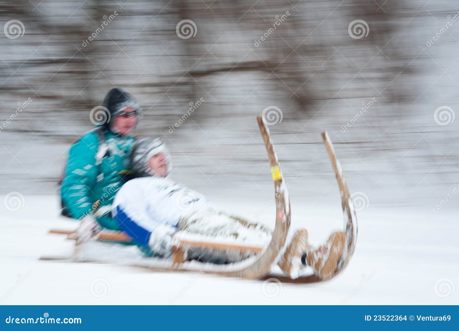 Horned Sledge Race 2012 in Turecka, Slovakia Editorial Stock Image ...