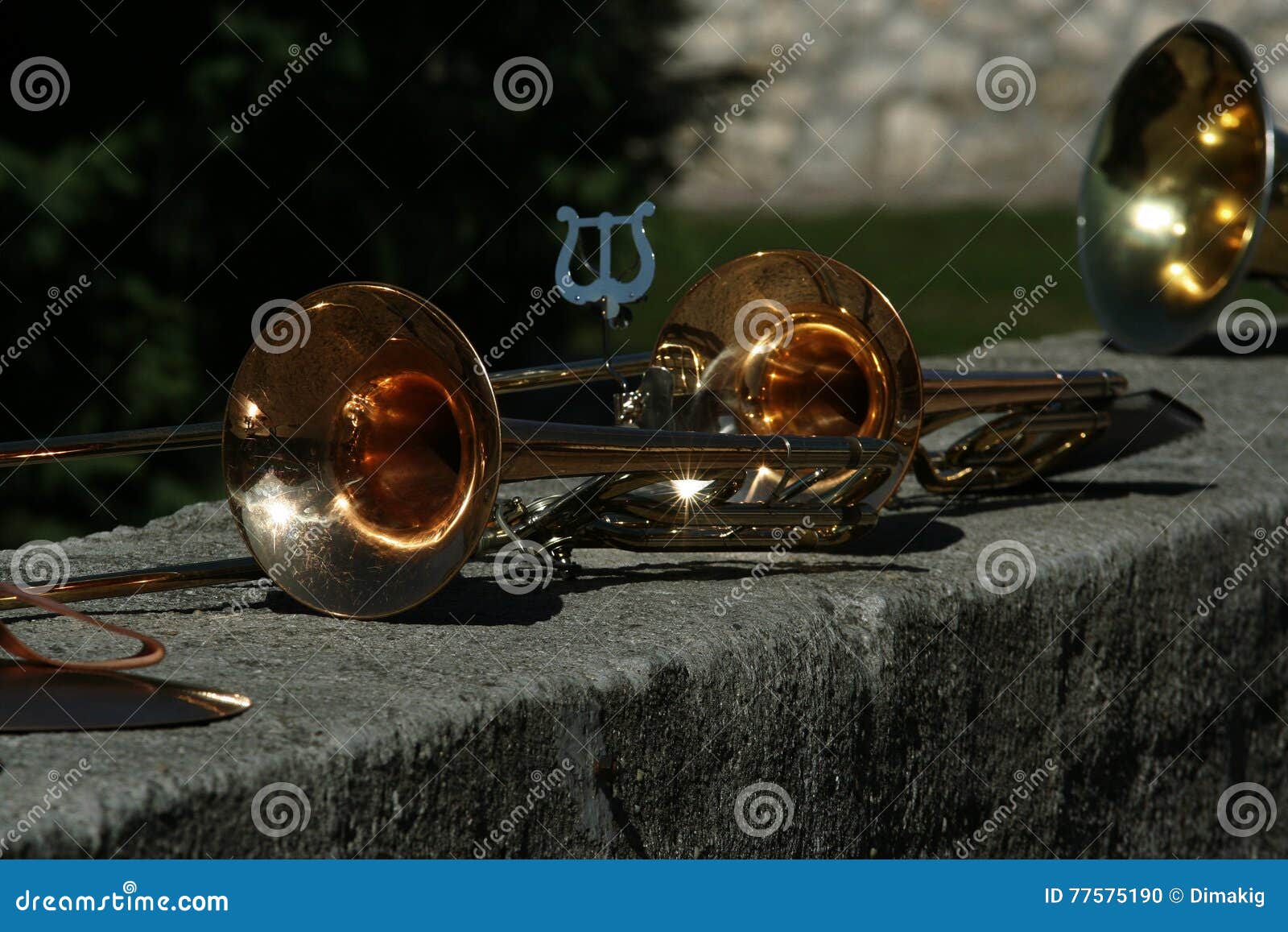 Horns Iridescent in the Sun Stock Photo - Image of stone, parade: 77575190